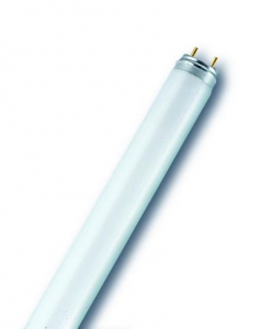 Fluorescent Hitachi 10W Cool White T8 tube – Mylighting